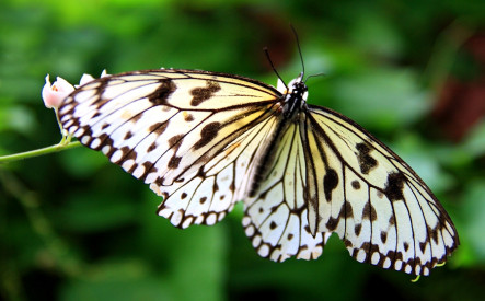 Explore Wonders | Find: 6 | Wonderopolis