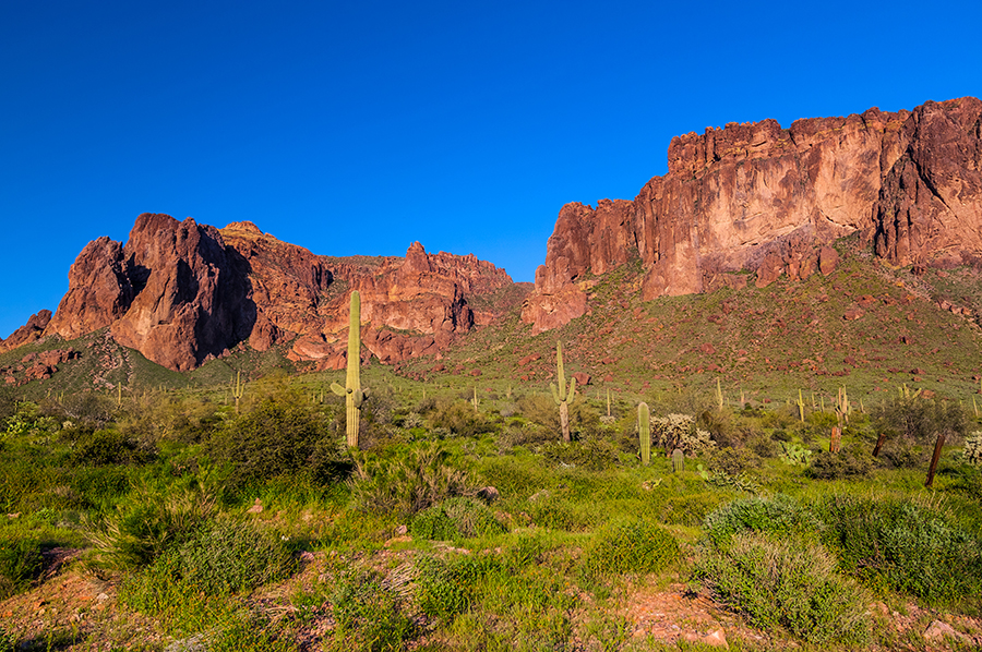 What Is A Mesa Wonderopolis
